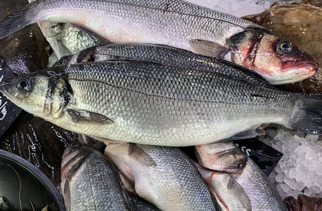 Cantonese Steamed Fish - Kraken Yachts