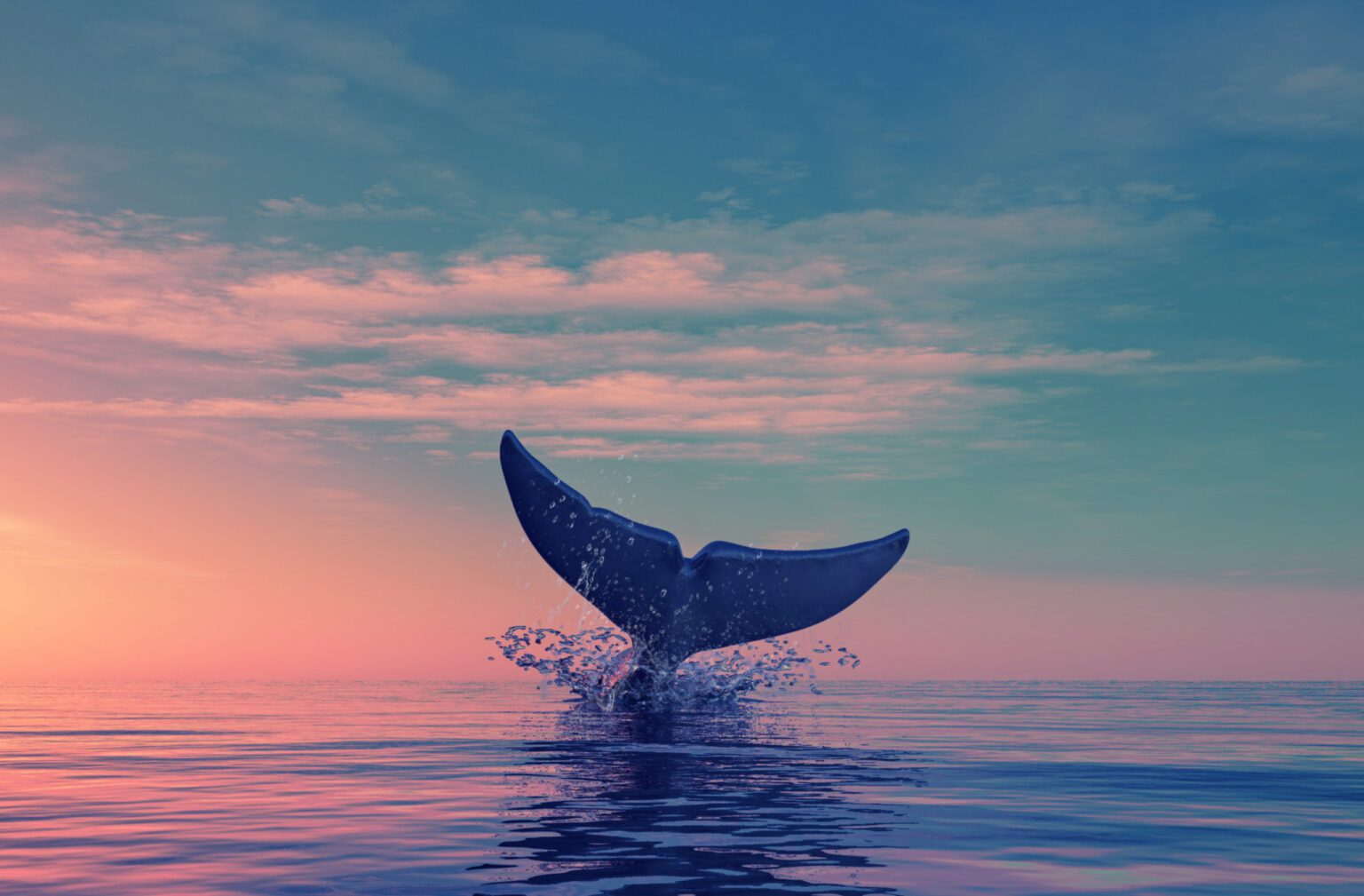 Ocean Sailor Features Archives - Kraken Yachts